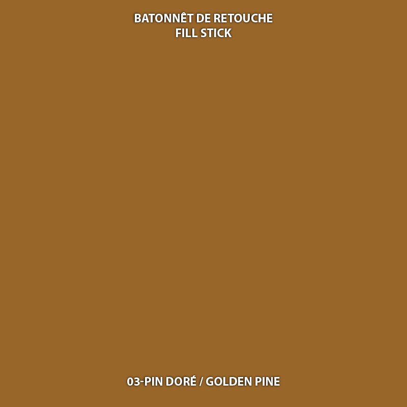 Bâtonnet de Retouche (Fill Stick) - EVO